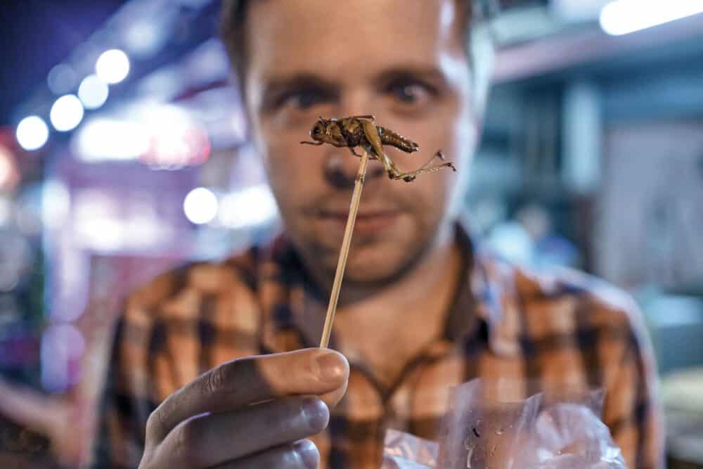 3 of the biggest lies about insects based food in European Union - PRESShub